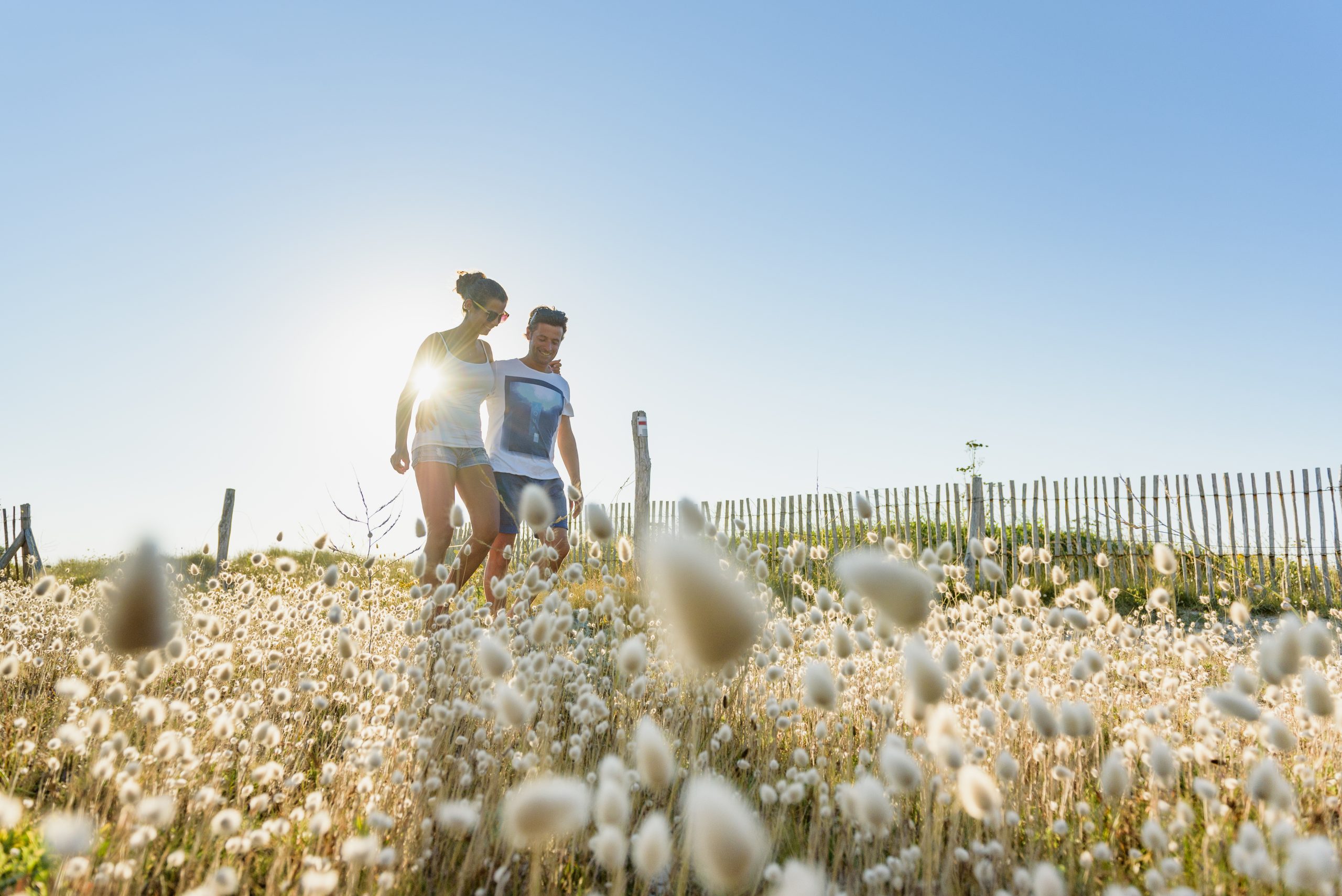 Se balader | Visiter le Finistère depuis l'Hôtel de la Mer